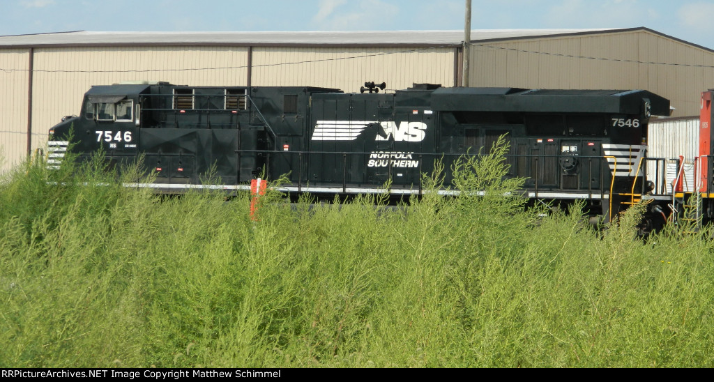NS 7546